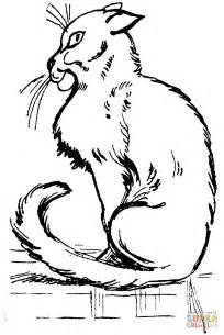 Image result for Cat Drawing Coloring