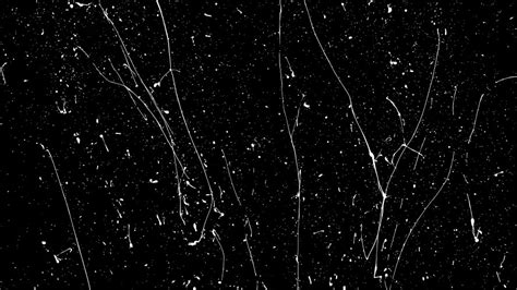 Image result for White Splatter Vector