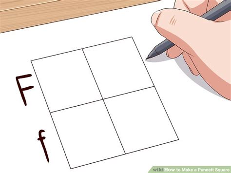 Image result for Punnett Square Tutorial