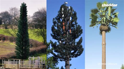 Image result for Fake Tree Cell Tower