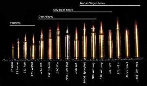 Image result for Bullet Caliber Chart