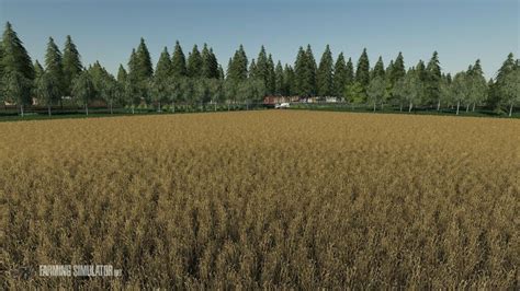 Image result for How to Create a Map FS19