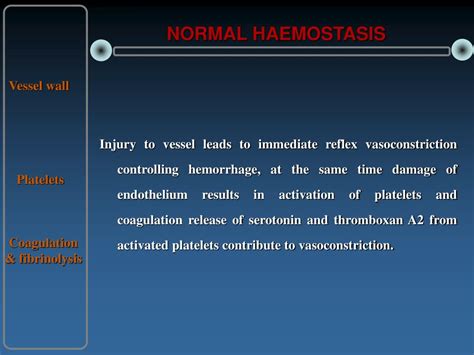 Image result for Normal Haemostasis