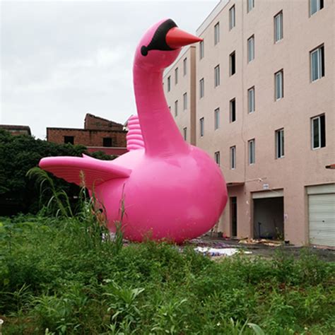 Image result for Inflatable Snow Goose Pool