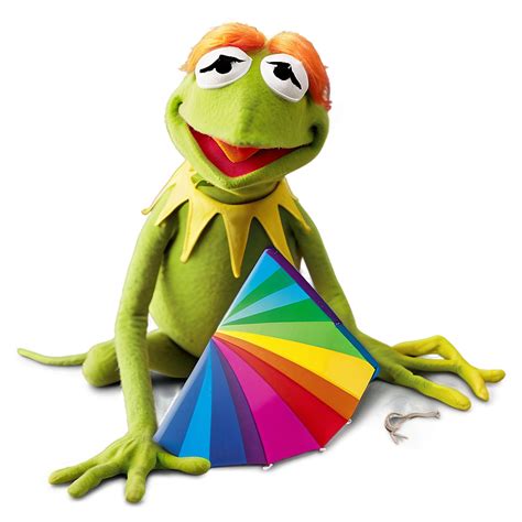 Image result for Rainbow Connection Kermit 2011