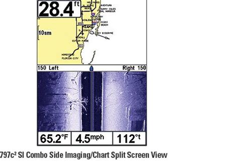 Image result for Humminbird Semi Colon