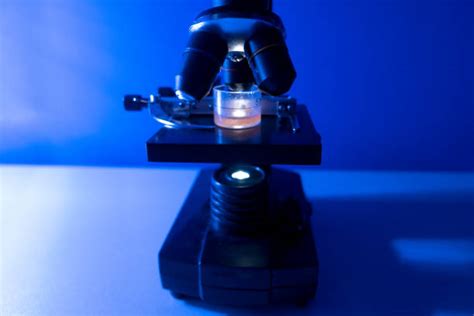 Image result for Modern Electron Microscope