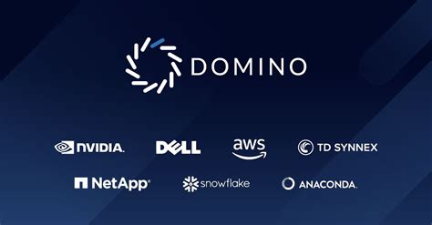 Image result for Domino Data Lab Platform