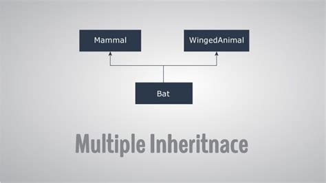 Image result for Multiple Inheritance C