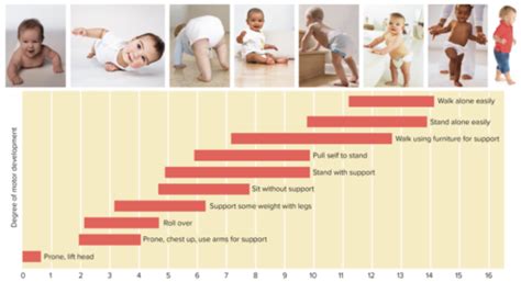 Image result for Perceptual Development Definition