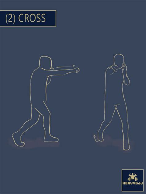 Image result for Boxing Number System