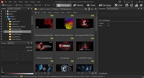 Image result for ACDSee Pro 3 Tutorial