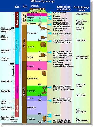 Image result for Geologic Time Scale Documentary