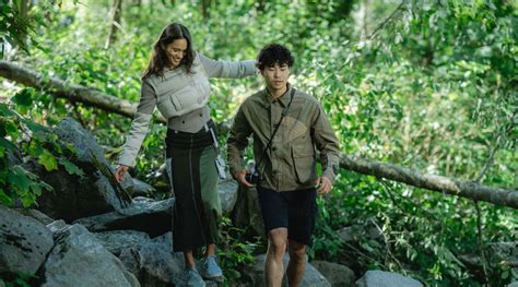 Image result for Paradox Program