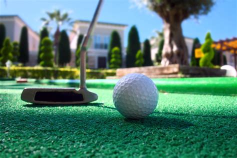 Image result for BackYard Mini Golf Course