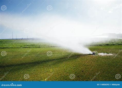 Image result for Sprinkler Control Box Golf Course