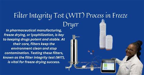 Image result for Cross Flow Filter Integrity Test