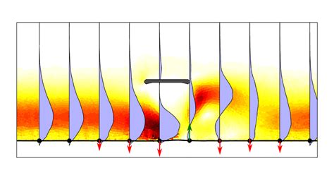 Image result for Morphological Modelling