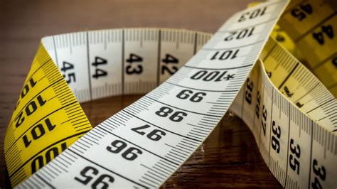 Image result for Measuring Torso for Backpack