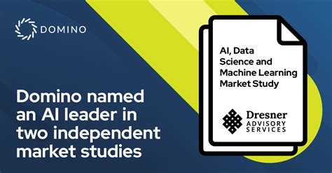 Image result for Domino Data Lab Platform