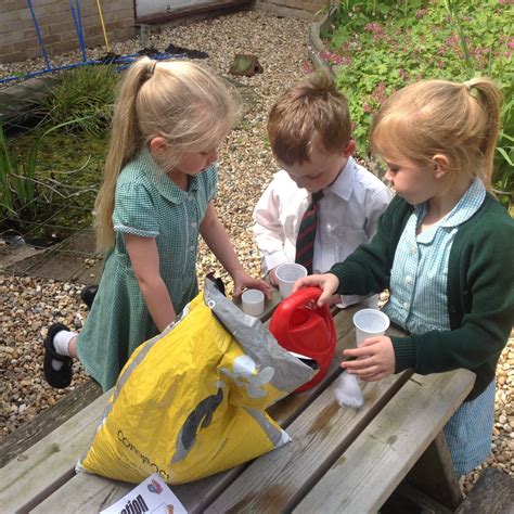 Image result for Fair Test Science Primary