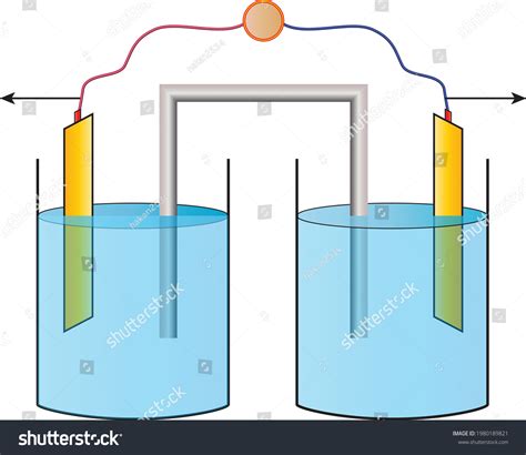 Image result for Practical of Salt Bridge