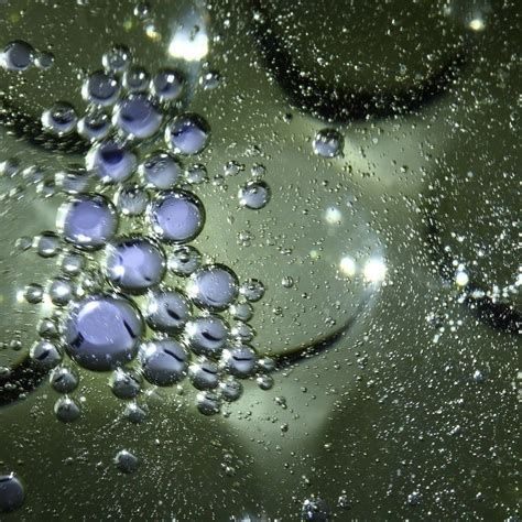 Image result for Microbial Ecology