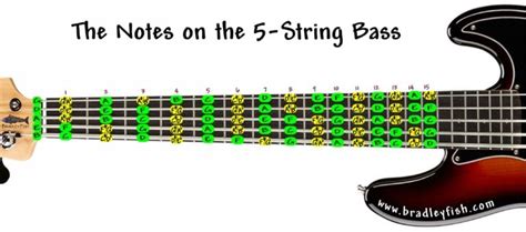 Image result for Notes On a 5 String Bass