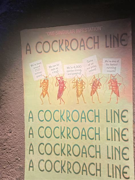 Image result for Cockroach Line Art