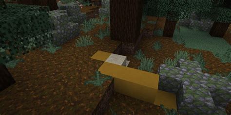 Image result for Minecraft Relic Disc