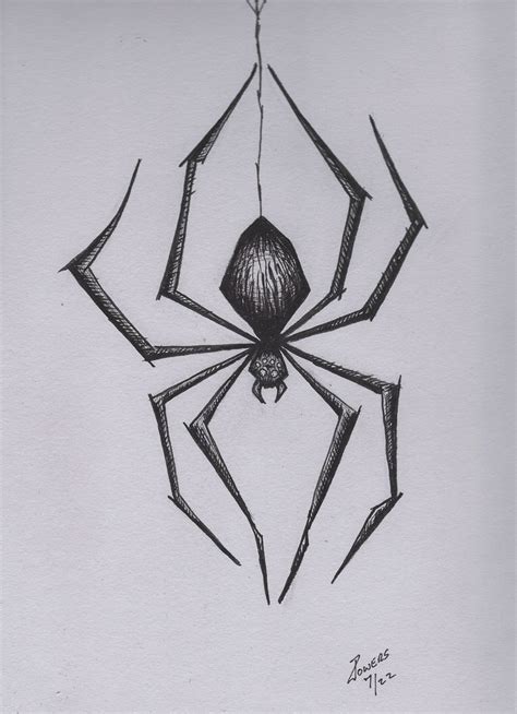 Image result for Basic Spider Drawing