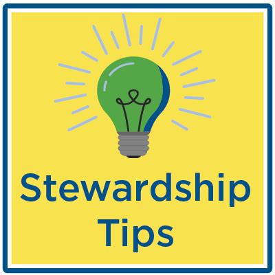 Image result for Stewardship Examples at Work