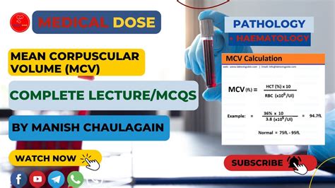 Image result for MCV Calculation