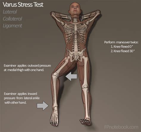 Image result for Varus Test Knee