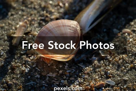 Image result for Core Sampler Oceanography