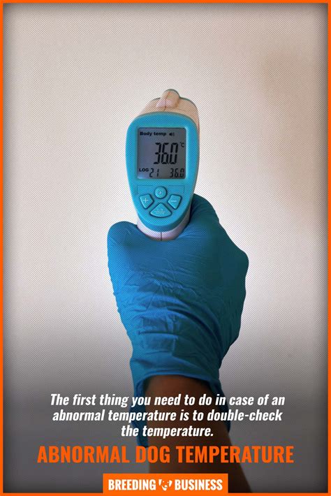 Image result for Dog Temperature Normal