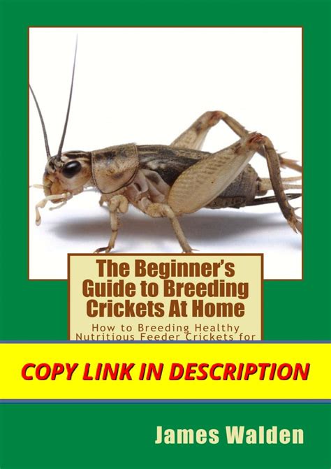 Image result for Breeding Crickets Setup