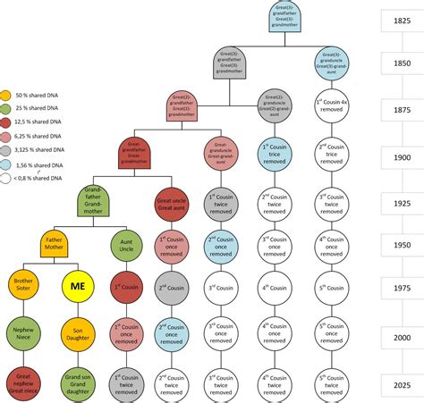 Image result for Atdna Basic Chart