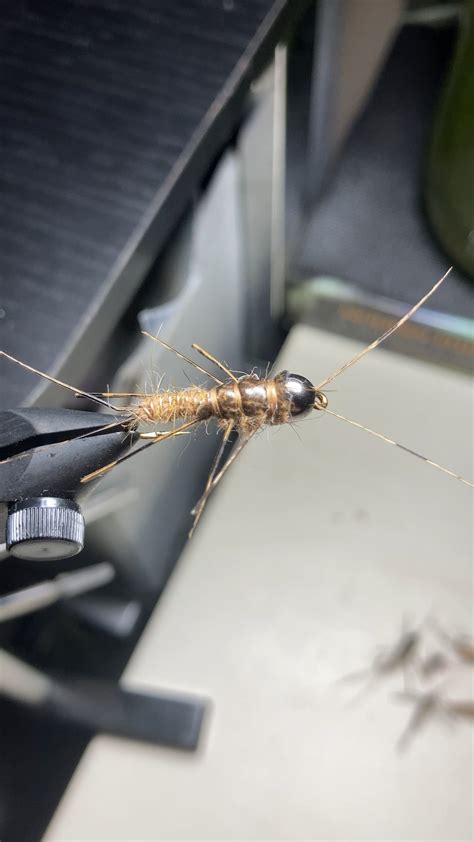 Image result for Fly Tying Stonefly Patterns