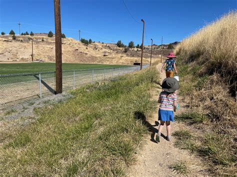 Image result for Fossil Digging