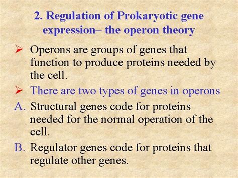 Image result for Operon Theory