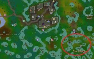 Image result for How to Catch Swamp Lizards OSRS