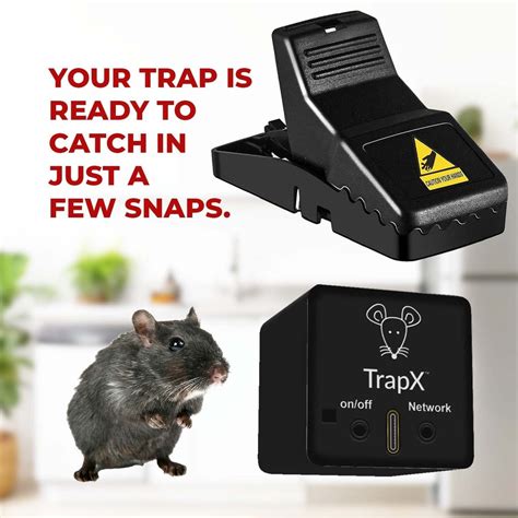 Image result for D-Con Mouse Trap