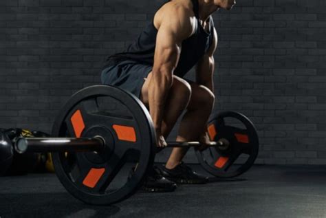 Image result for Strong Lower Back Muscles