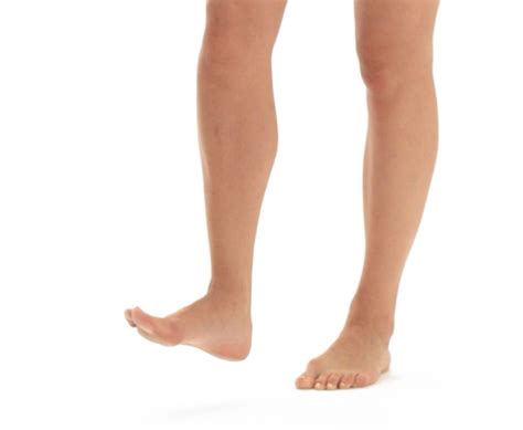 Image result for Toe Curls Exercise