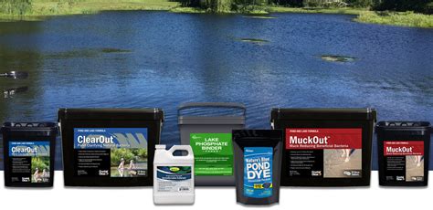 Image result for Large Pond Algae Control