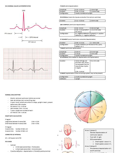 Image result for Normal ECG Range Chart