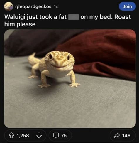 Image result for Most Strangest Reddit Post