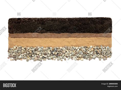 Image result for Humus Soil Layer