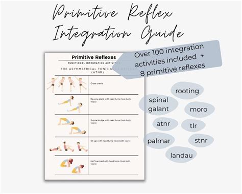 Image result for Primitive Reflex Integration Exercises